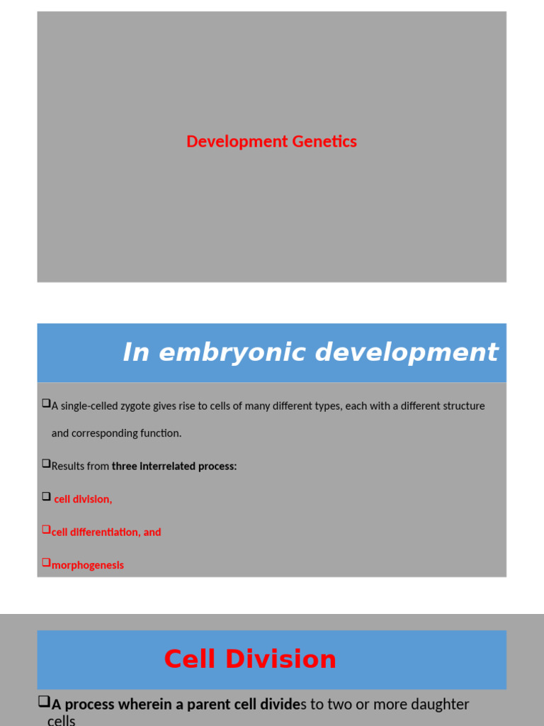 Developmental Genetics Latest | PDF