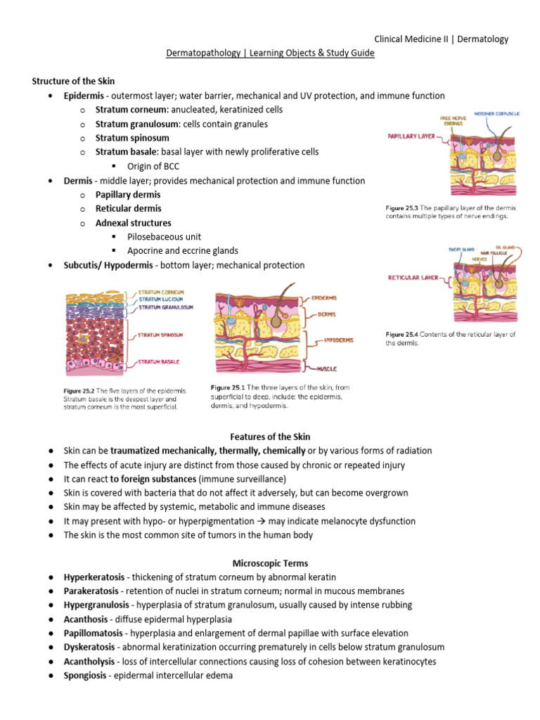 Dermatopathology | PDF