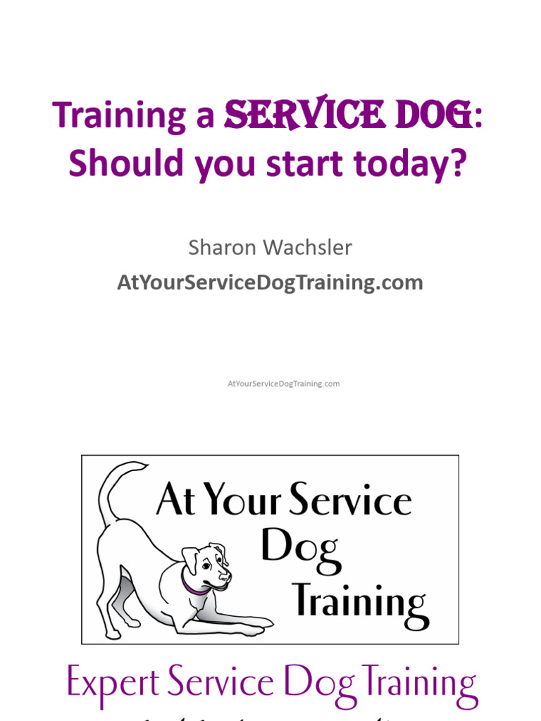 Are You Ready To Train A Service Dog Screener Video | PDF
