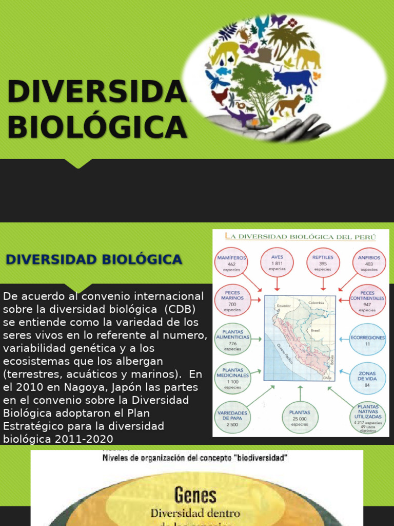 Diversidad Biologica y Deterioro de La Fauna y La Flora 2023 | PDF