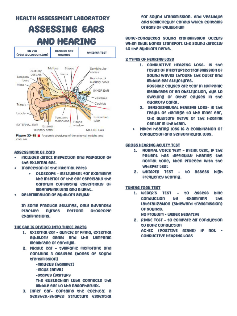 Health Assessment Laboratory Ears and Hearing | PDF