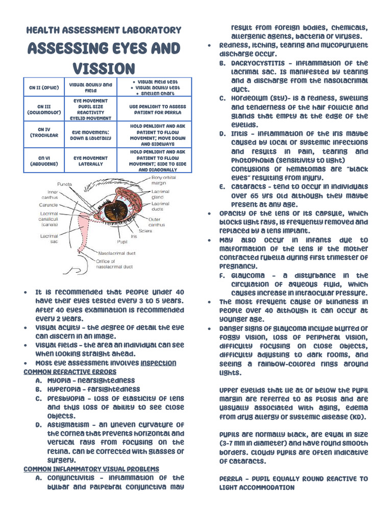 Health Assessment Laboratory Eyes and Vision | PDF