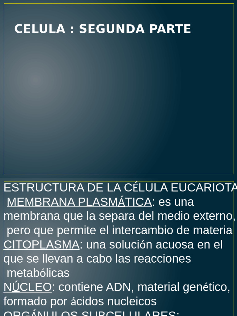 Celula 2 Repaso | PDF