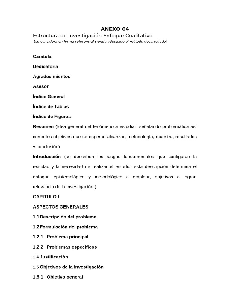 6.- Anexo 04 Estructura Del Enfoque Cualitativo | PDF