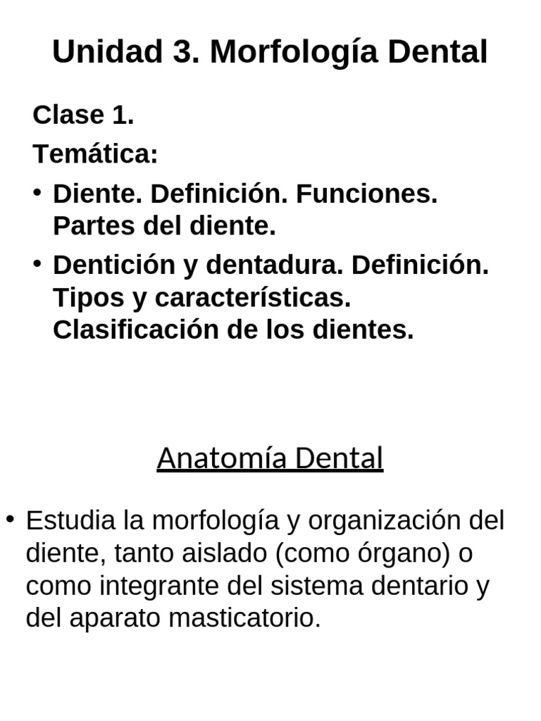 Clase 1 Tema 3 Anatomía Dental Pdf