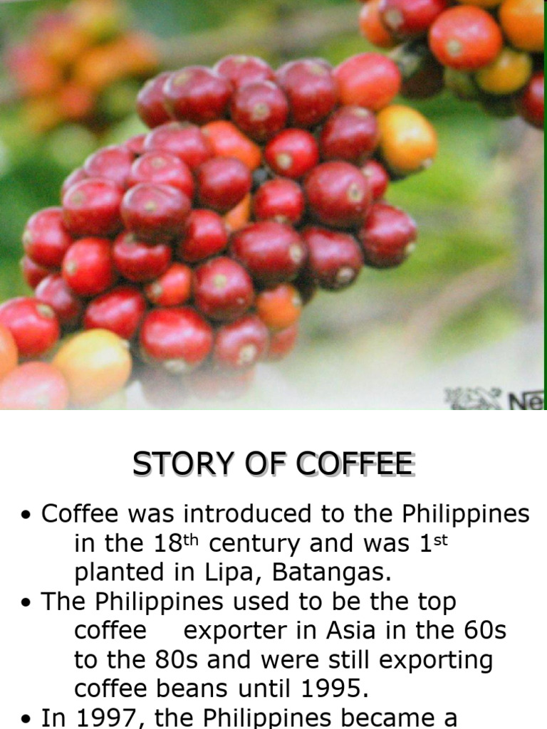 Coffee Production | PDF