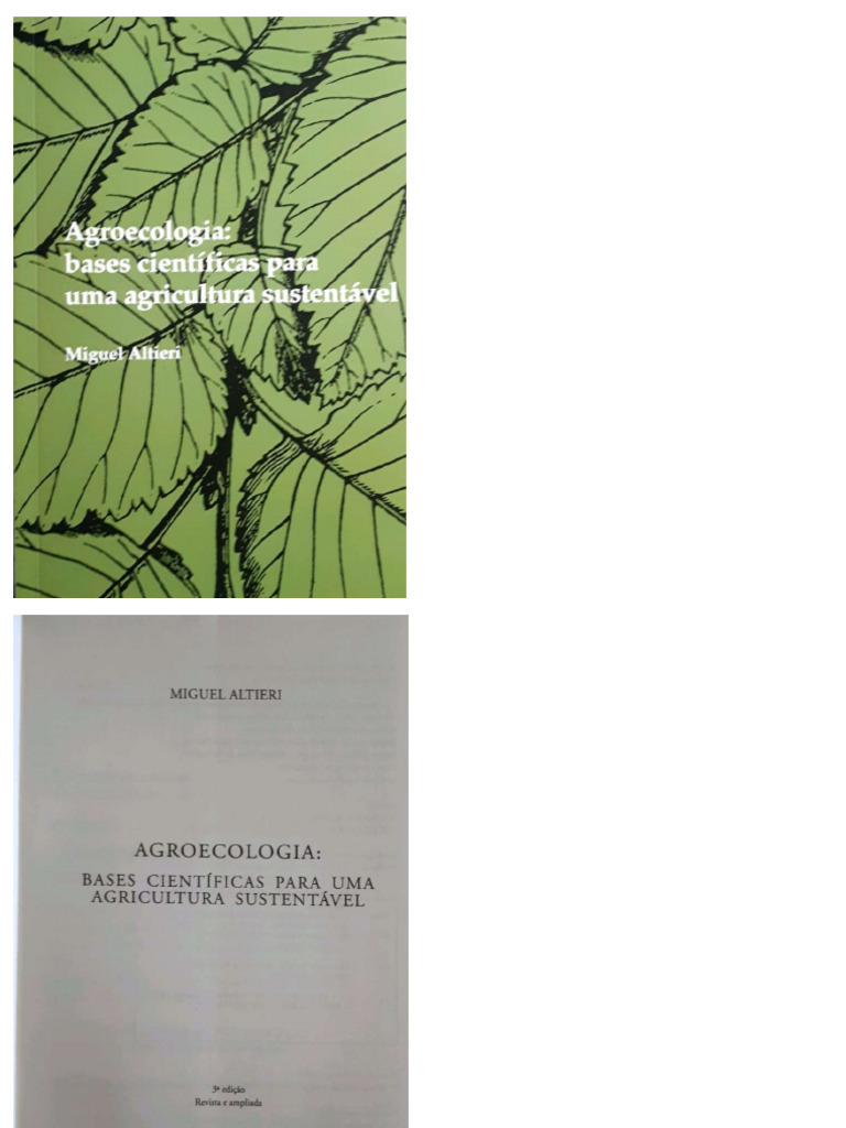 Texto 5 B.altiere-Campones | PDF