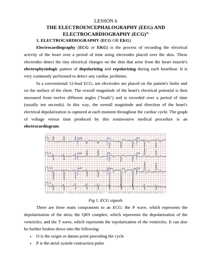 04 - BG06 - Reading EEG-ECG | PDF