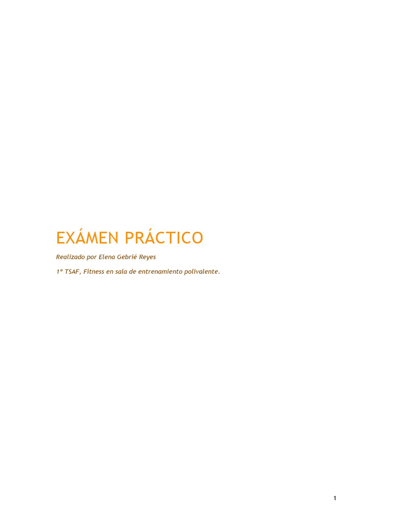 Examen Práctico | PDF