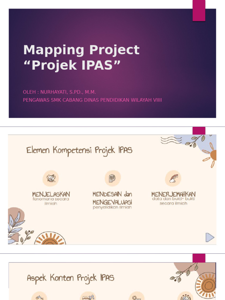 3 - Mapping Project IPAS | PDF