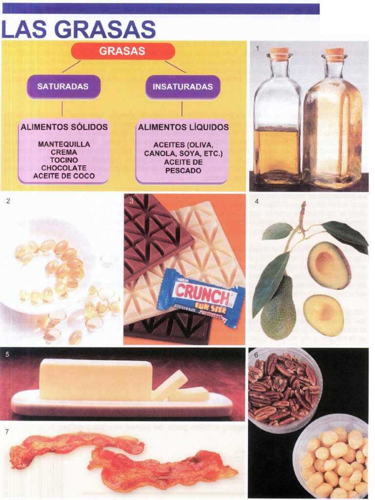 Las Grasas | PDF
