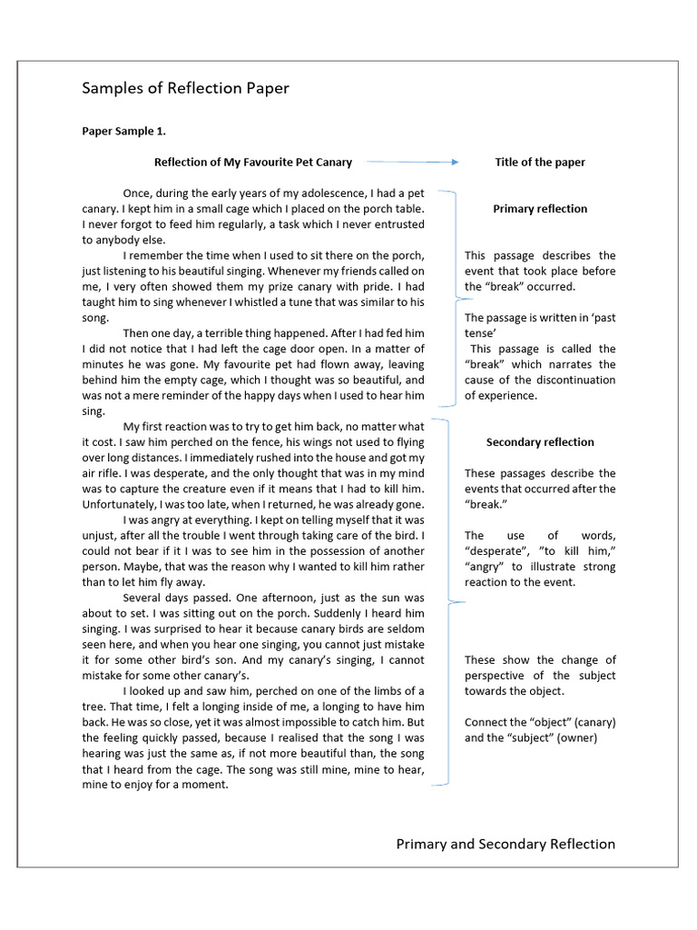 Reflection Sample Papers | PDF