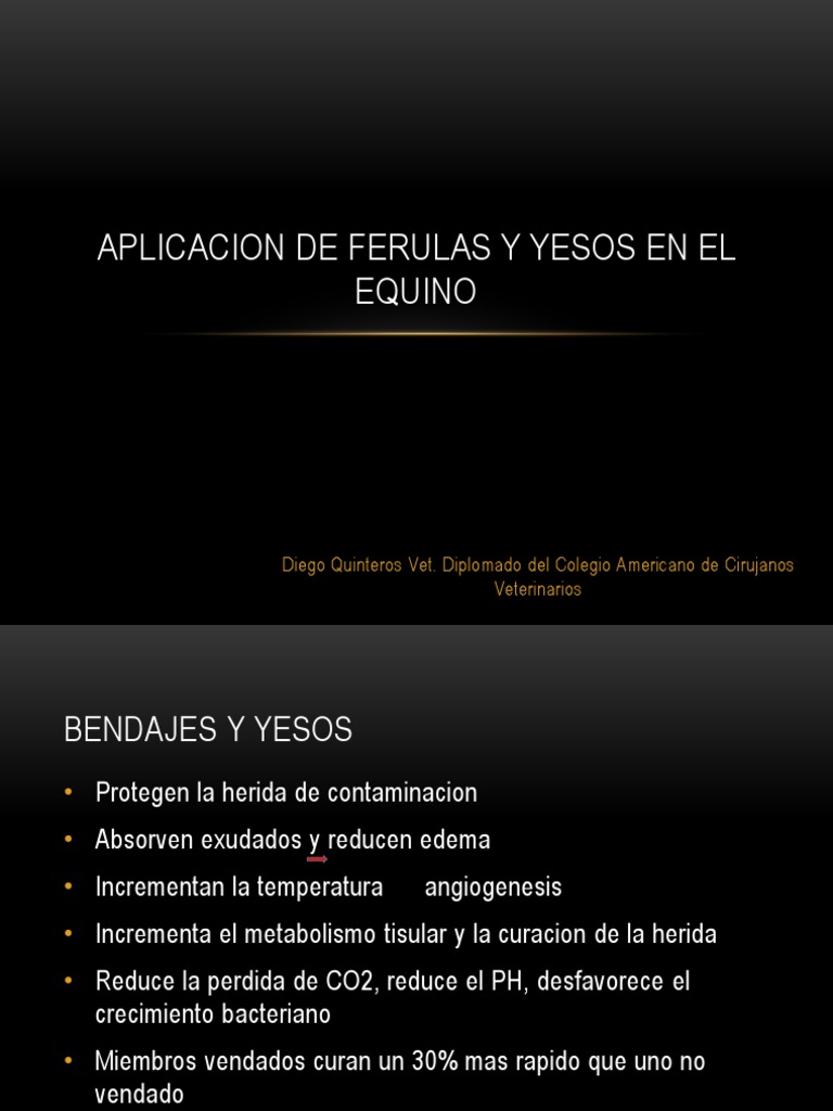 Aplicación de Ferulas y Yesos en Equinos | PDF | Herida | Medicina