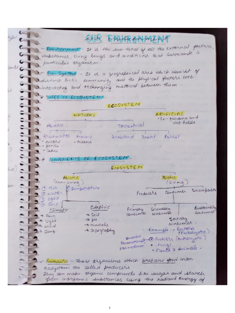 Our Environment | PDF