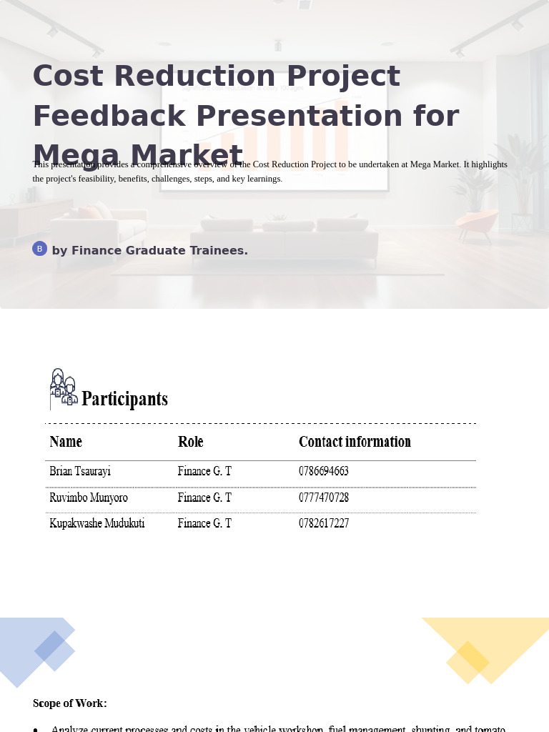 Cost Reduction Project | PDF