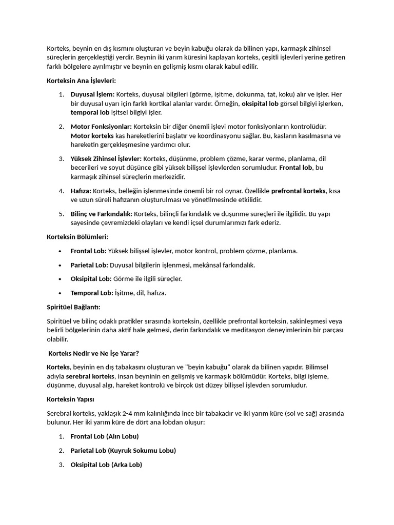 Korteks | PDF