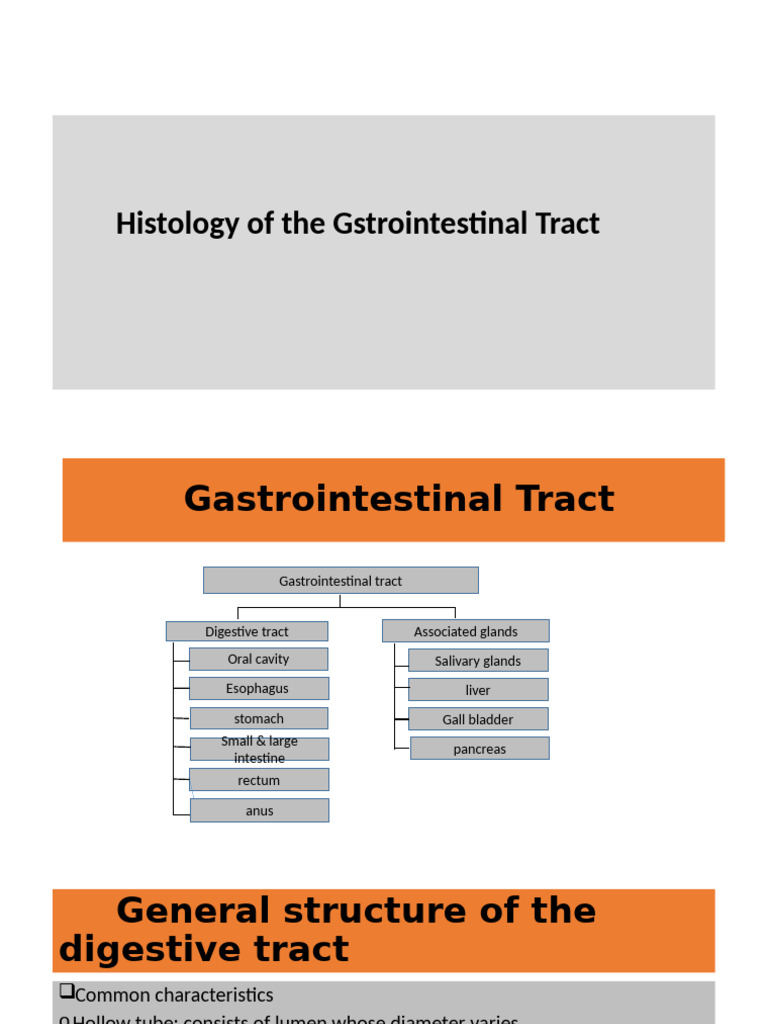 Histology of GIT and Respiratory System | PDF