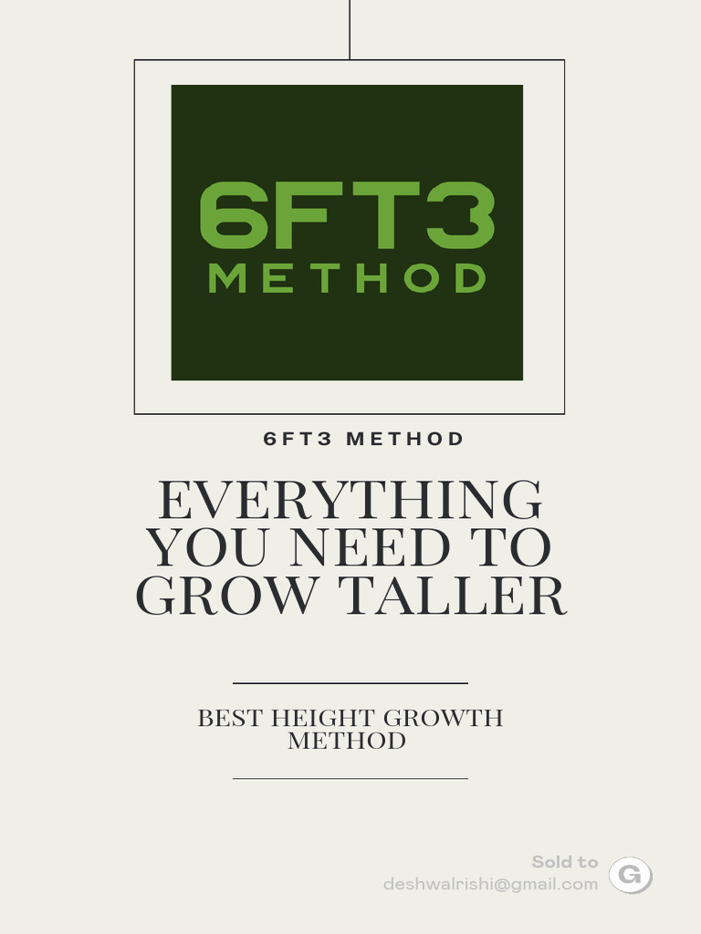 6FT3 Method Mini Guide | PDF