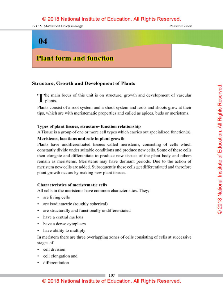 Unit 04-Plant Form and Function-English | PDF
