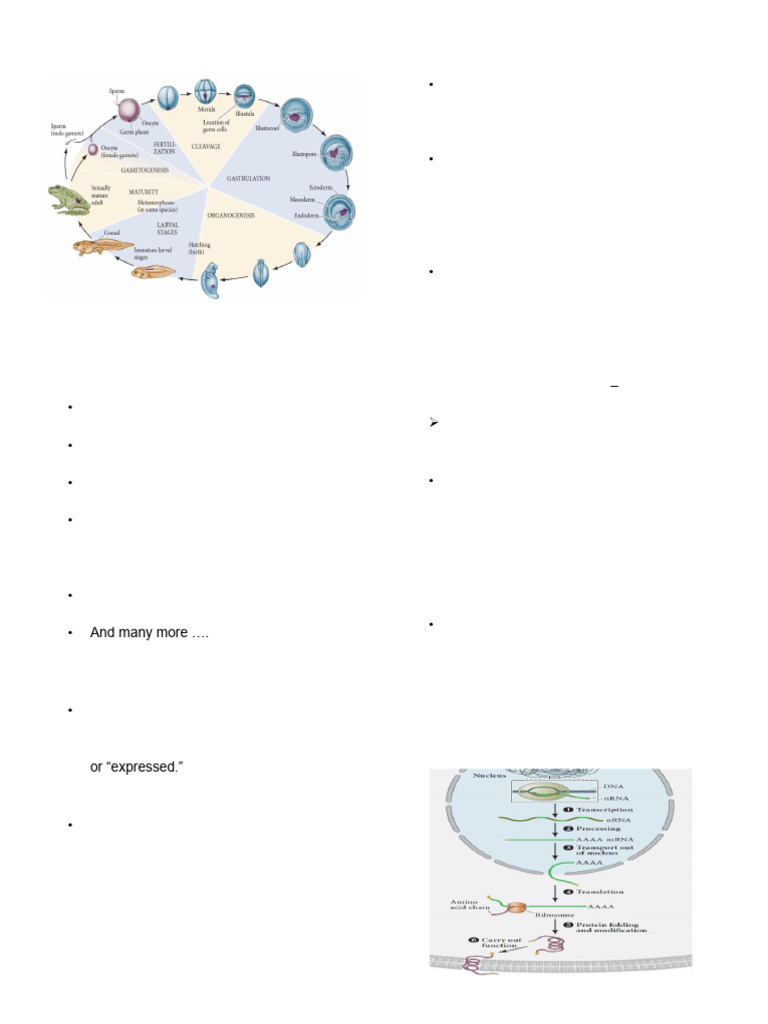 Differential Gene Expression PDF | PDF