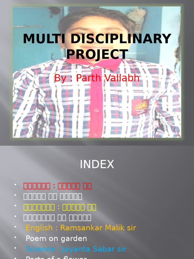 MDP Parth Vallabh | PDF