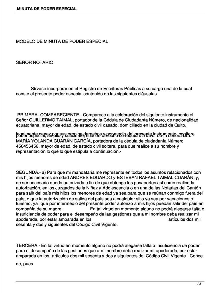 PDF Minuta Poder Especial - Compress | PDF