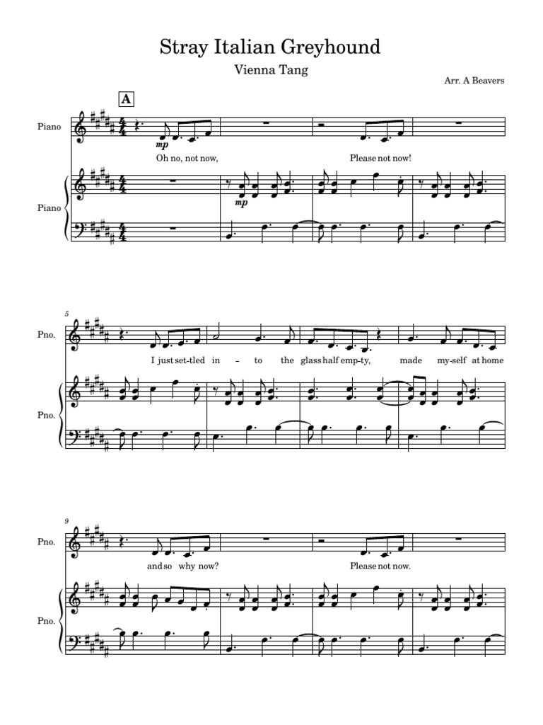 Stray Italian Greyhound | PDF