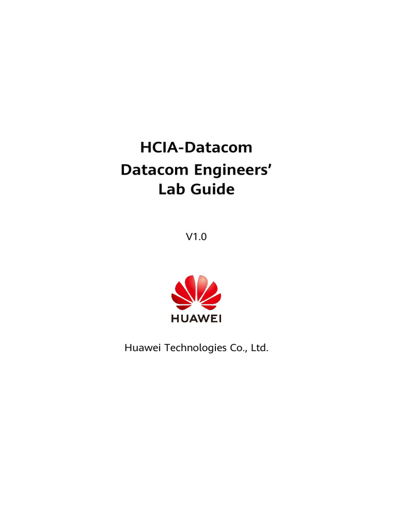 HCIA-Datacom V1.0 Lab Guide | PDF