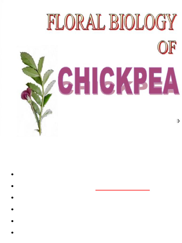 Floral Biology of Chickpea | PDF