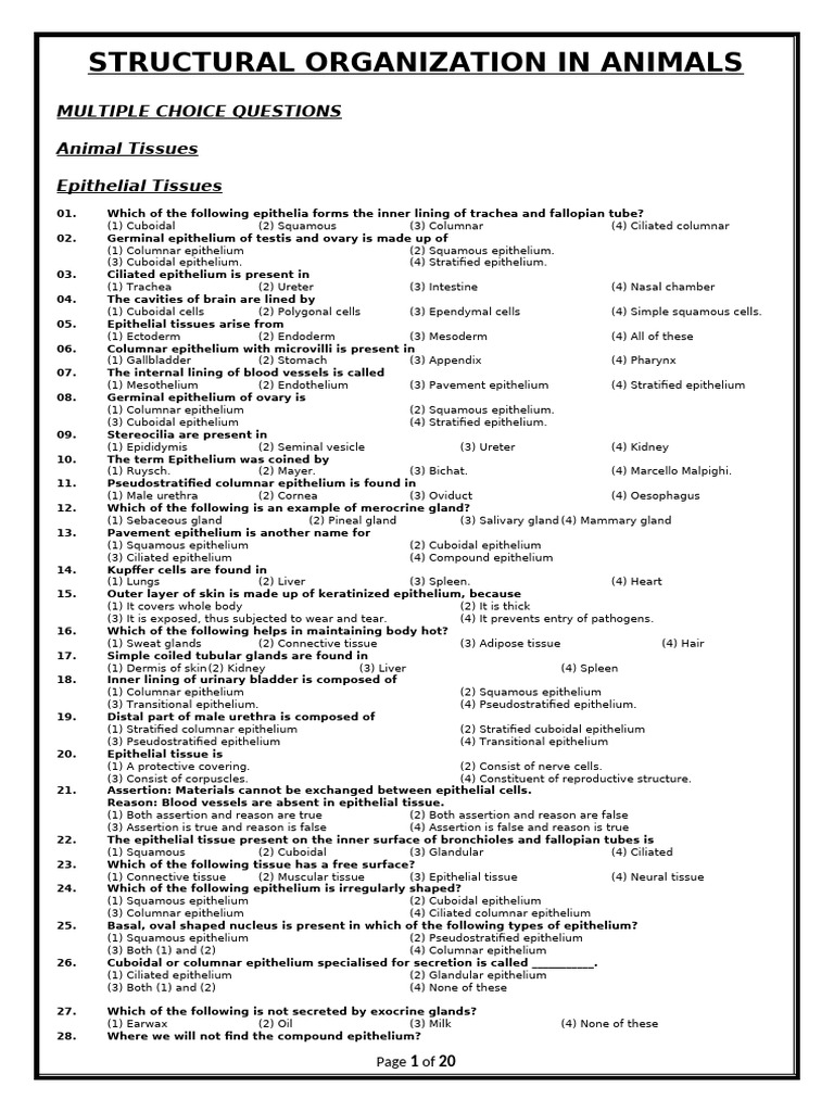 Structural Organisation in Animals-Bits | PDF