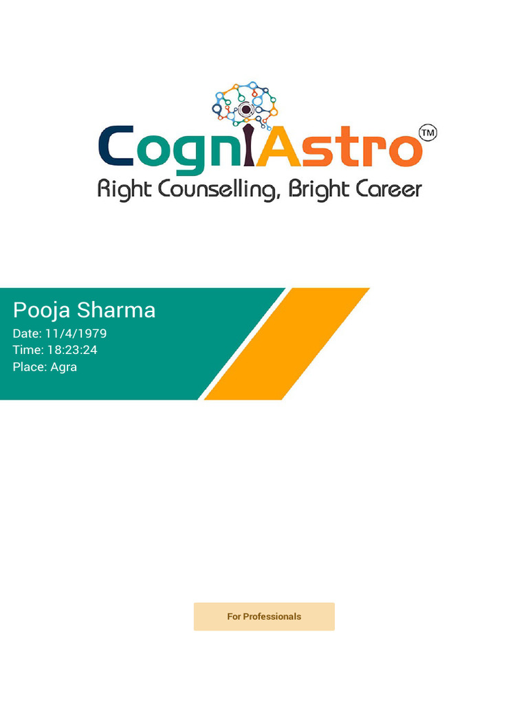 CA Report Pro En | PDF