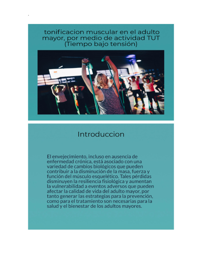 Circuito de Tonicidad Muscular y Estiramientos | PDF | Codo | Anatomía ...