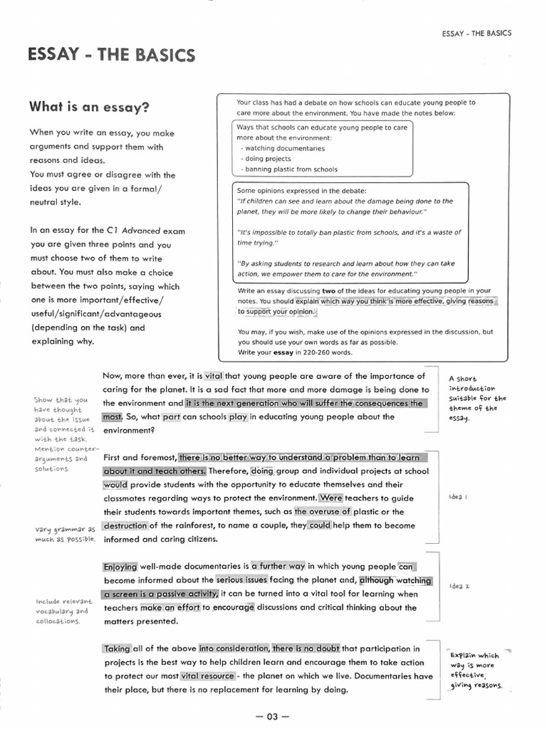 C1 Essay | PDF