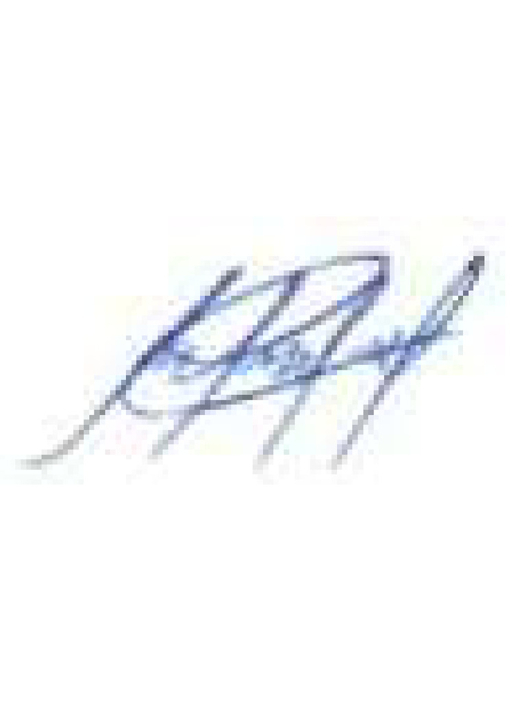 Firma Ejemplo | PDF