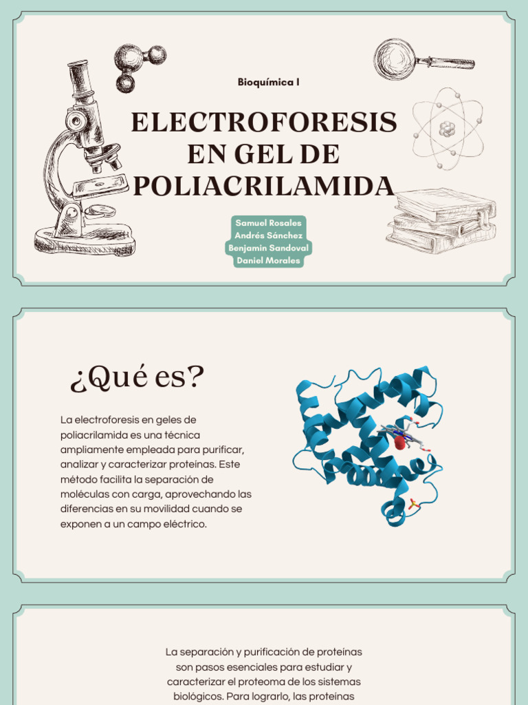 Electroforesis E1 | PDF