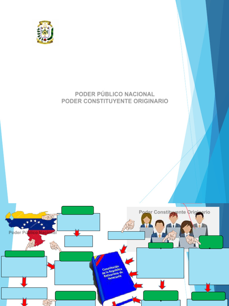 Poder Público Nacional y Poder Constituyente Originario | PDF