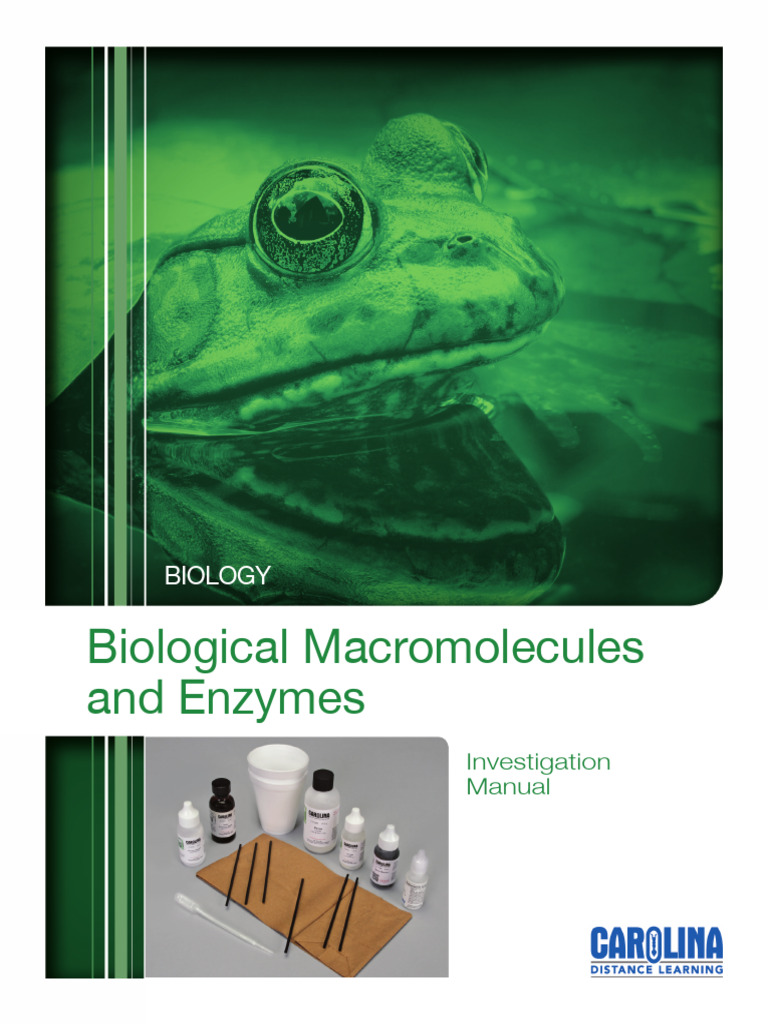 Biological Macromolecules Enzymes V2.1 ADA | PDF