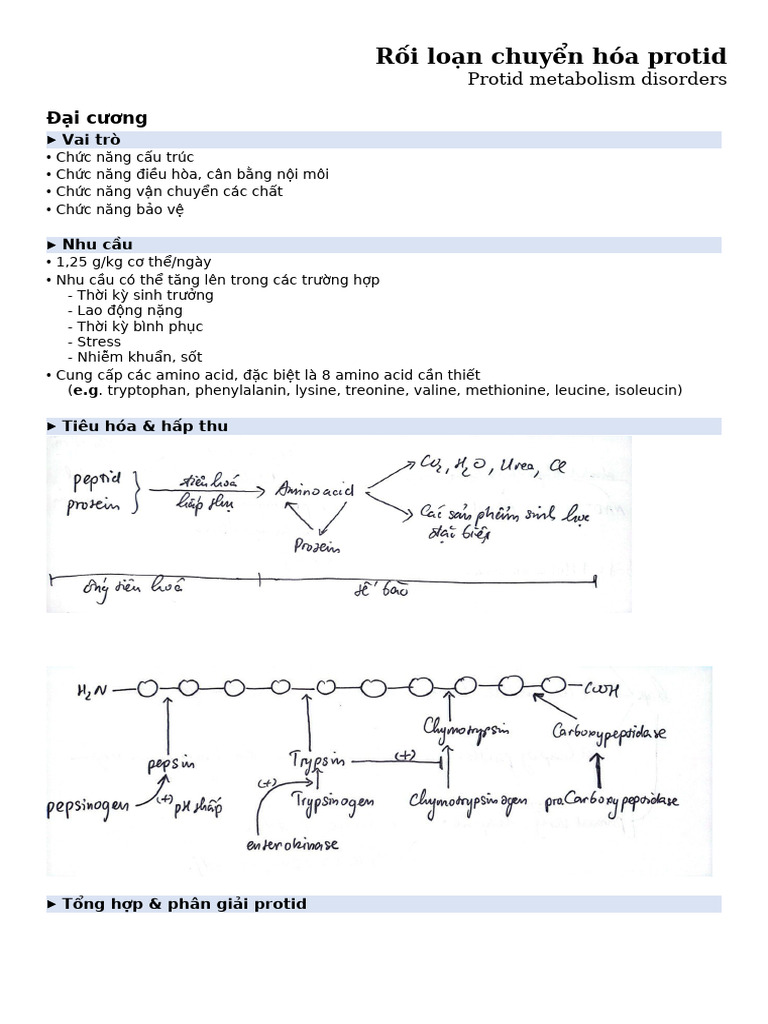 Rối Loạn Chuyển Hóa Protid | PDF