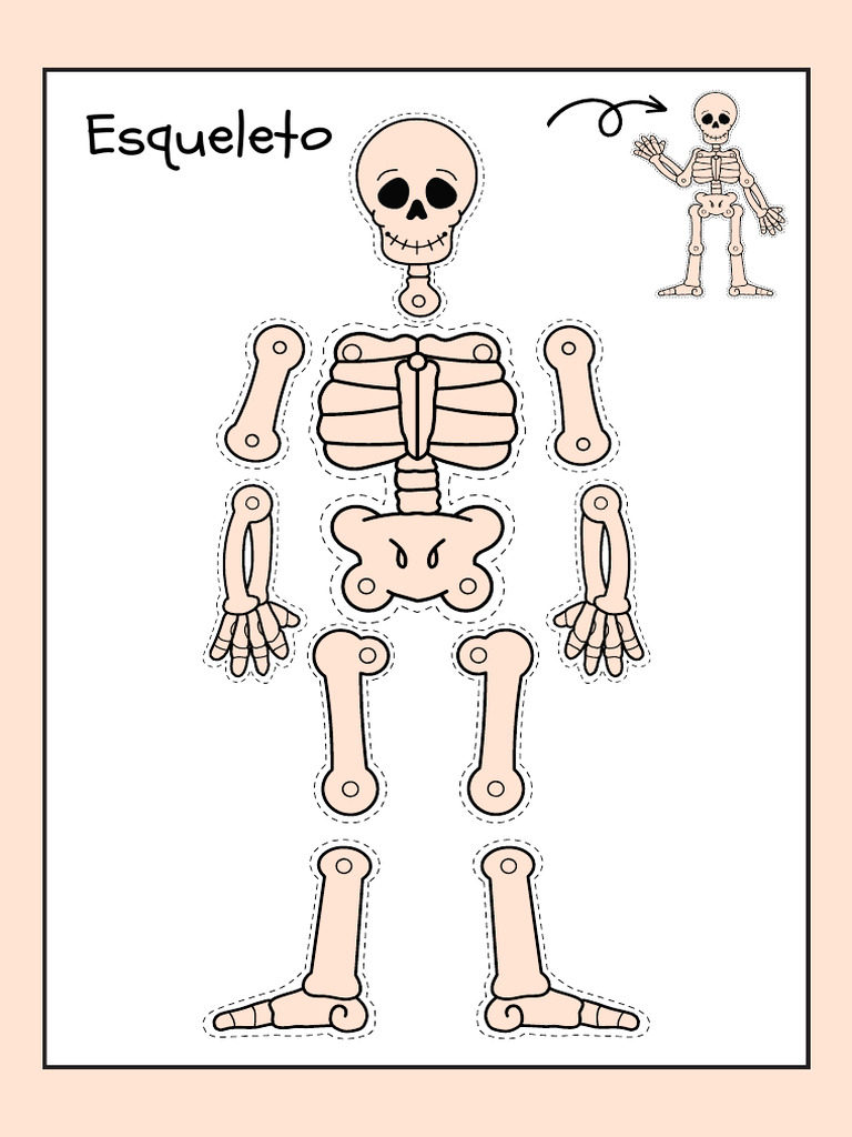 Esqueleto A4 Niños | PDF