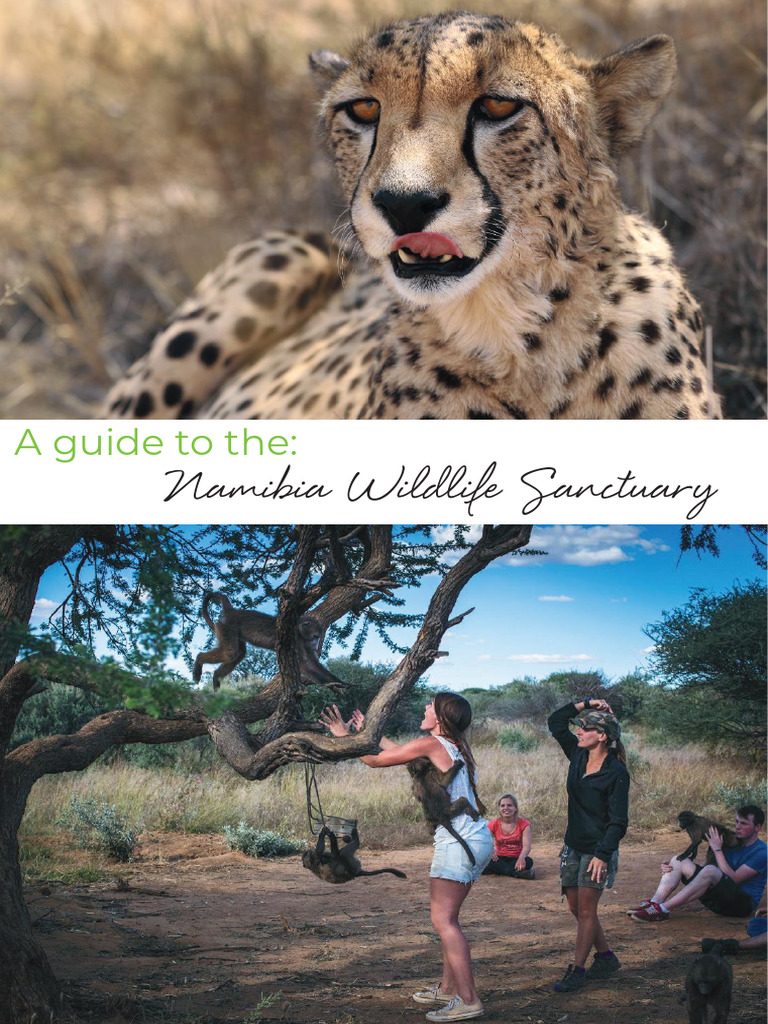 Namibia Wildlife Sanctuary - Project Guide | PDF