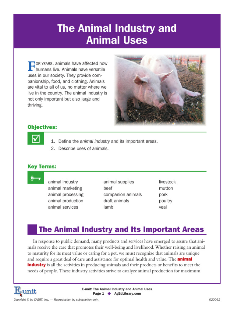 The Animal Industry and Animal Uses | PDF | Livestock | Poultry