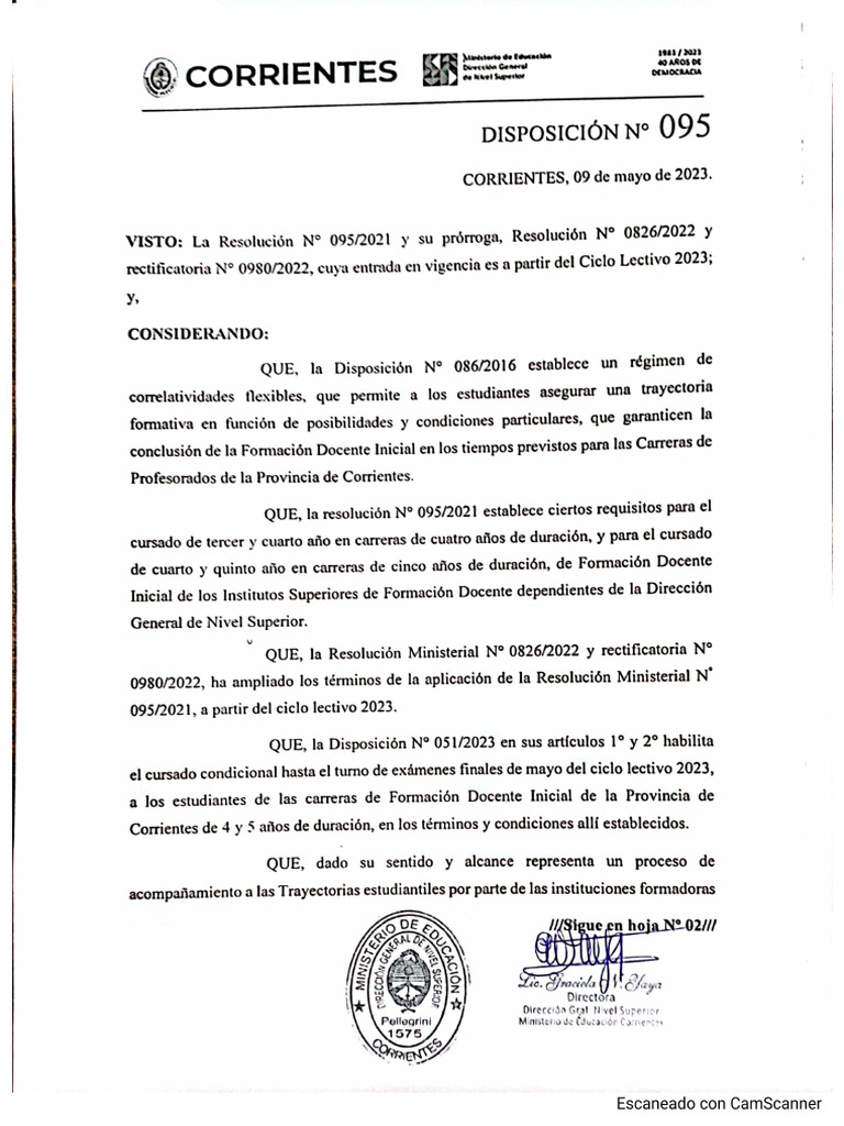 Disposición 095 | PDF