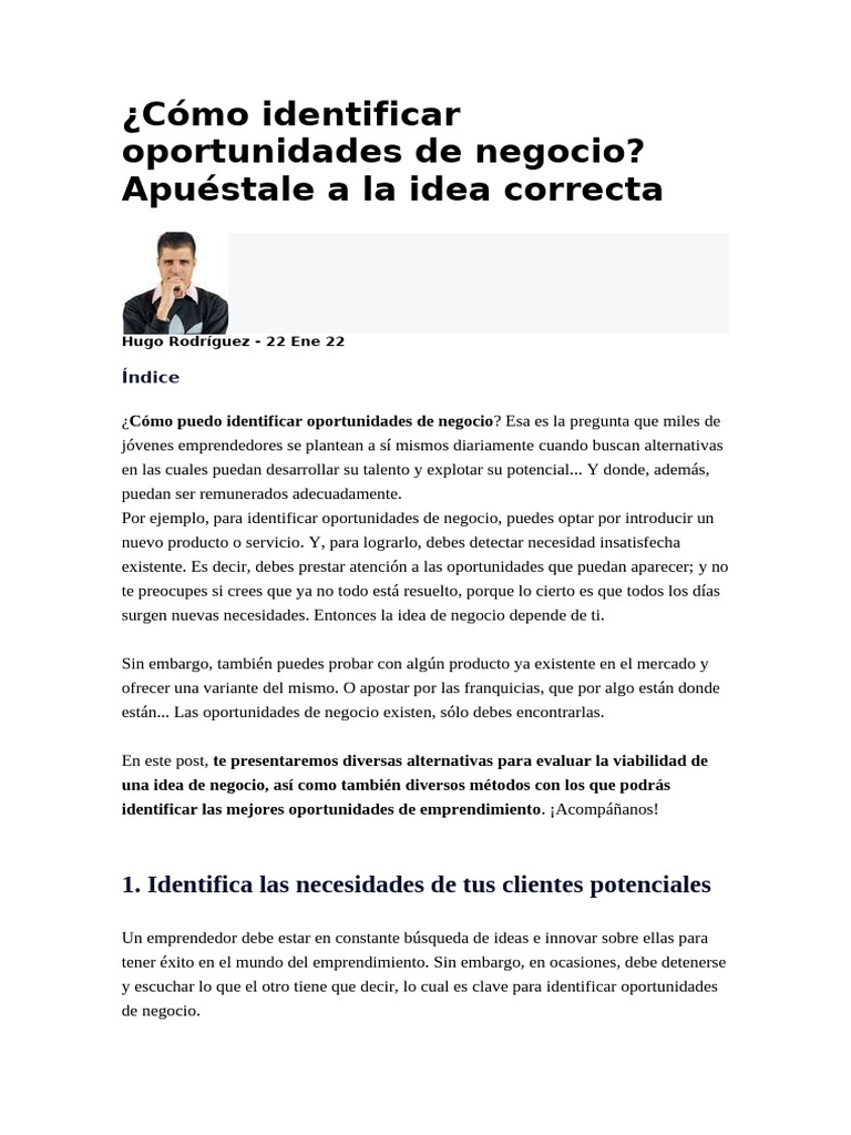Cómo Identificar Oportunidades de Negocio | PDF