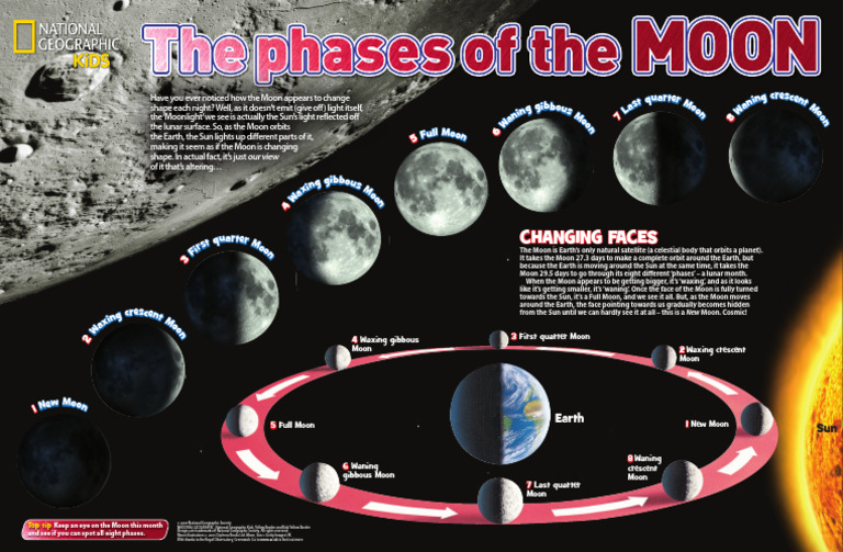 The Phases of The Moon Primary Resource | PDF