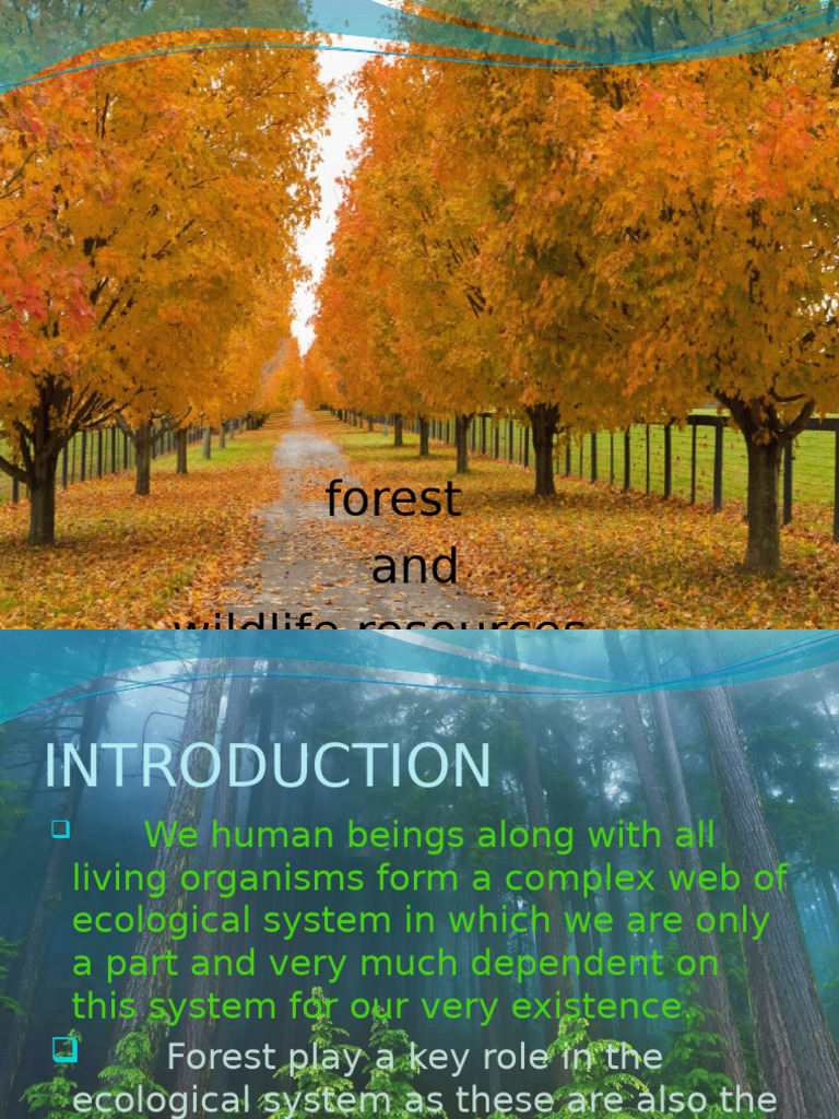 Chap 2 Forest And Wildlife Pdf
