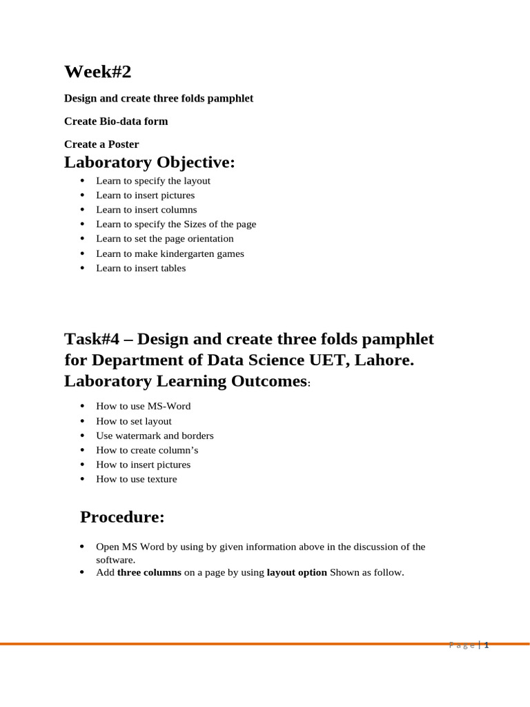 Week 2 LAB TASK | PDF
