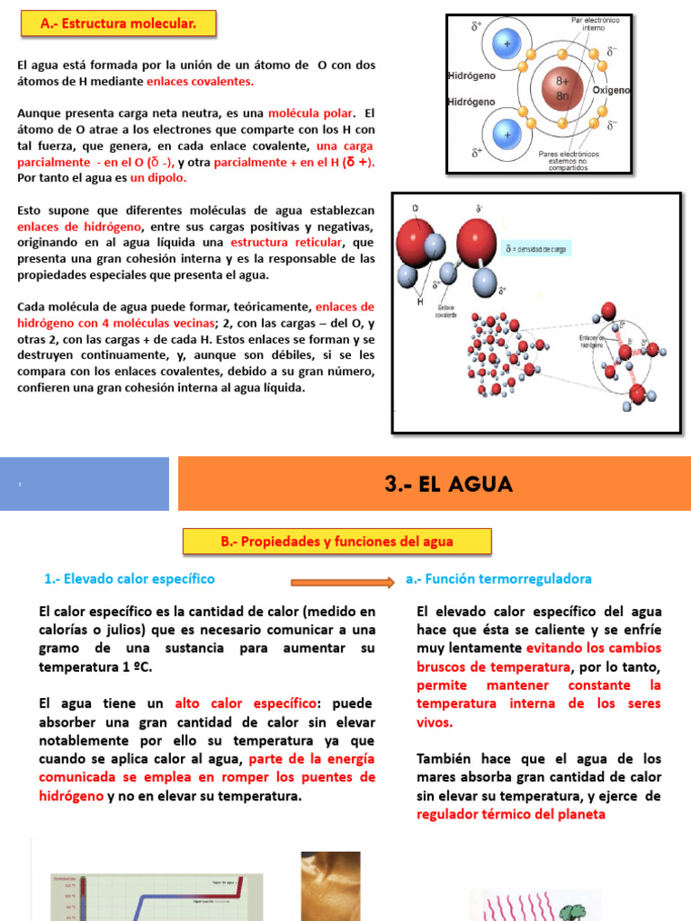 Resumen para Estudiar La Estructura y Propiedades Del Agua | PDF
