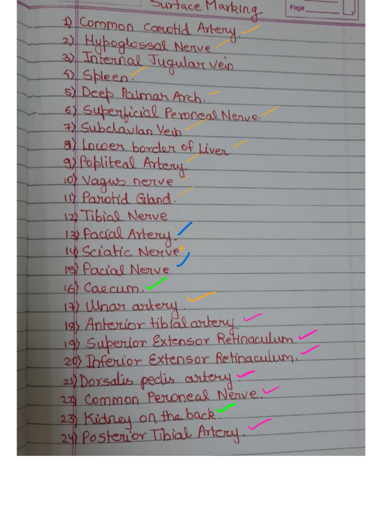 Surface Marking Anat | PDF