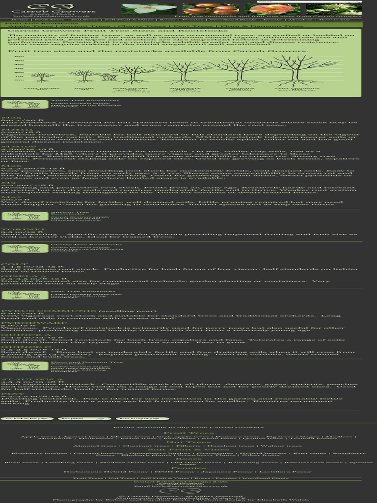 Rootstocks Fruit Trees Sizes and Rootstocks Apple Apricot Cherry Pear ...
