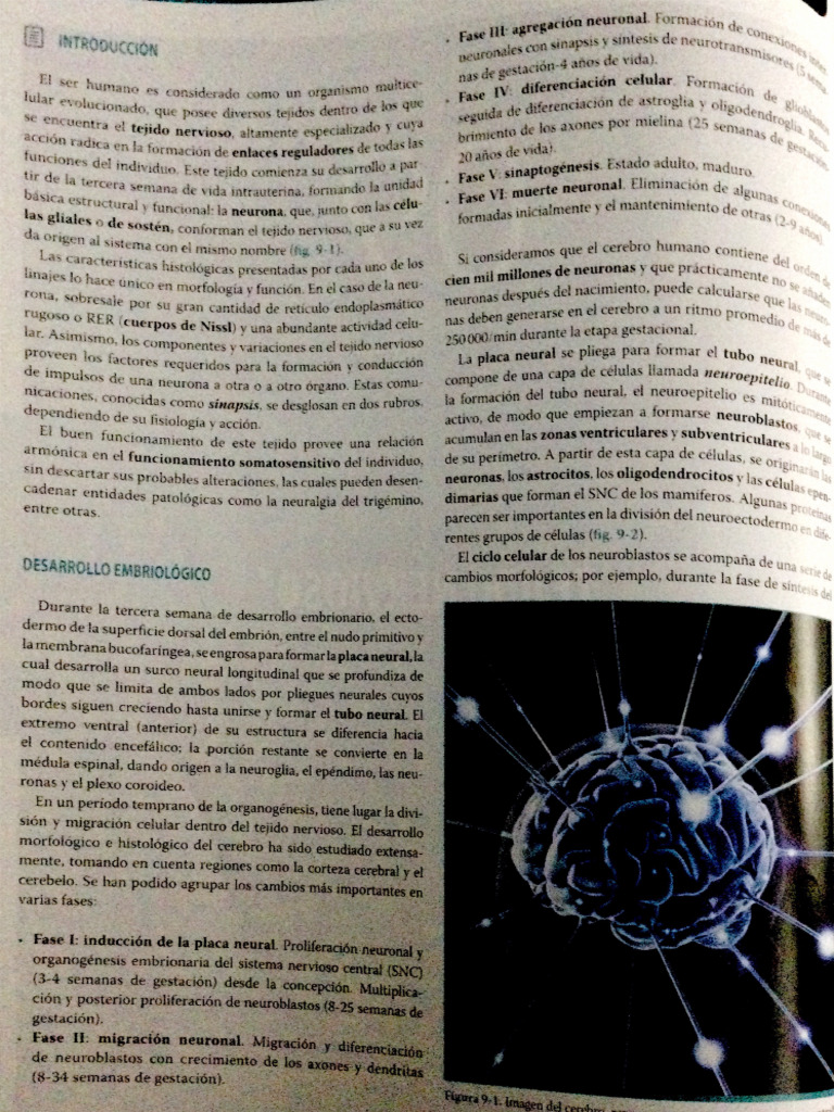 Documento Escaneado | PDF
